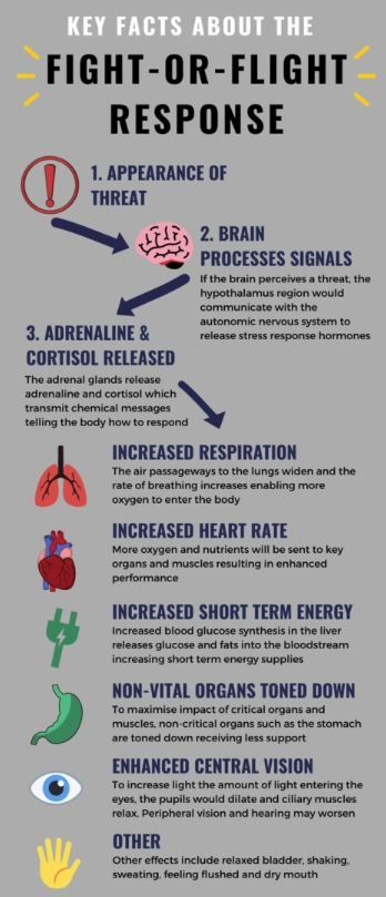 Fight or flight response – buddhna